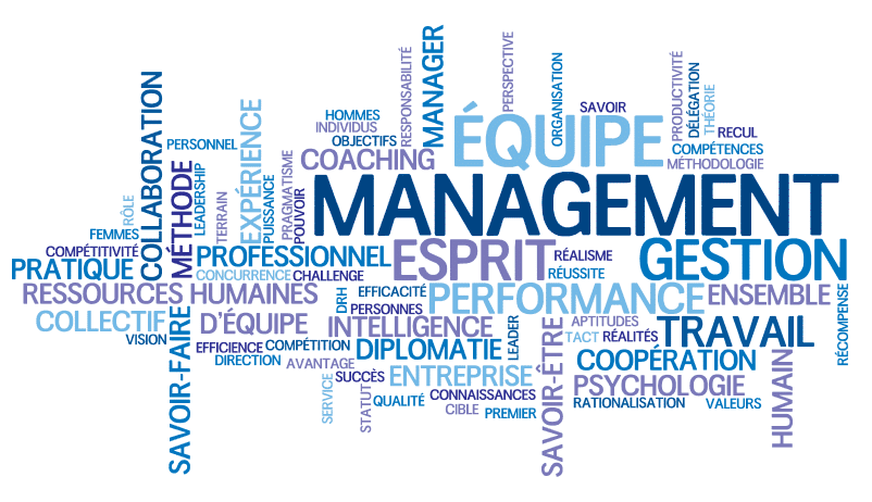 Comment être Un Bon Manager ? Les Savoir-être Professionnels Du Manager