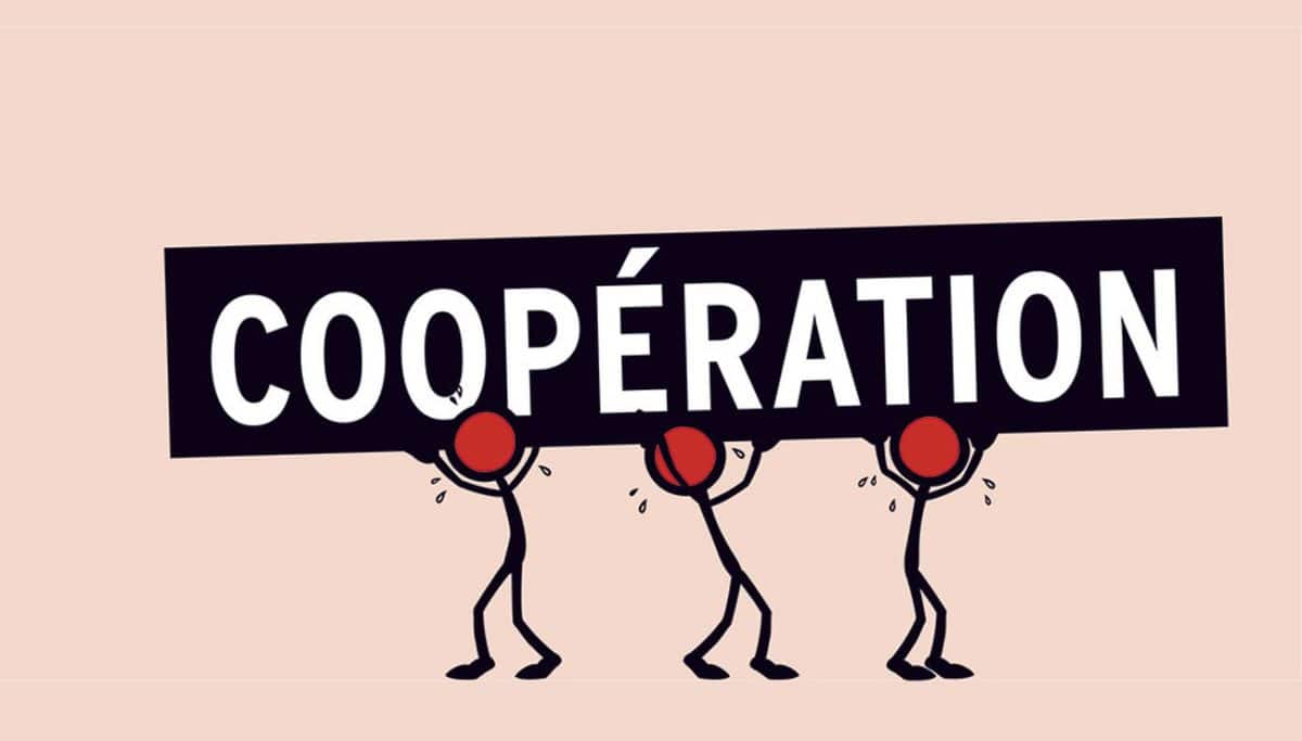 Réseau De Coopération Entre Professionnels De Laccompagnement Humain